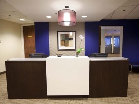 Professional Language Translation Services in Miami - UTS