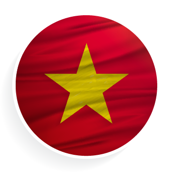 Pass Your Vietnamese DMV Test: Study Guides & Tips